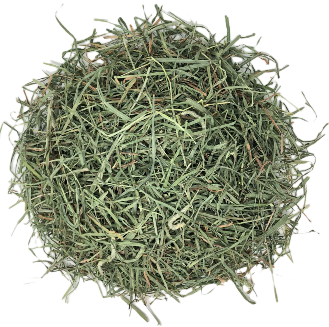 HayBox - Ultra Premium Feeding Hay – Hay Box