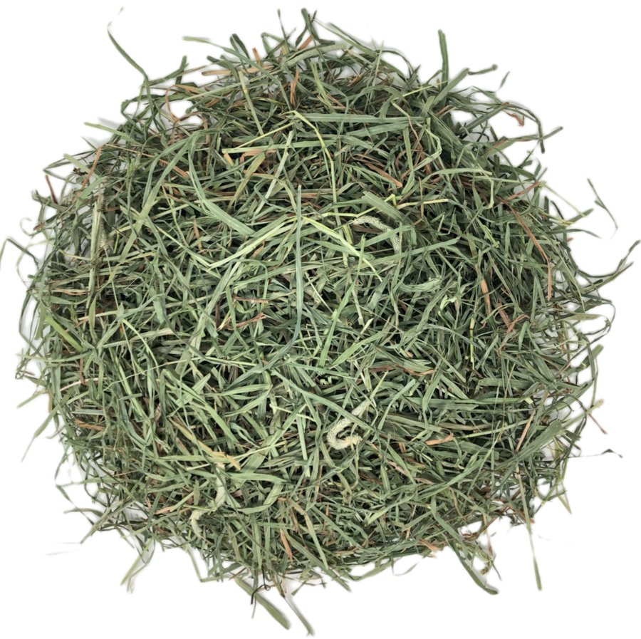 HayBox - Ultra Premium Feeding Hay – Hay Box