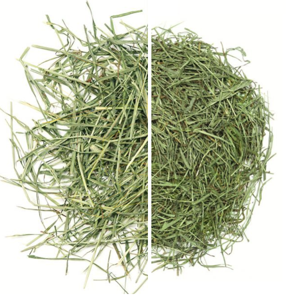 HayBox - Ultra Premium Feeding Hay – Hay Box